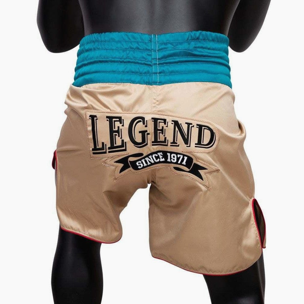 Shorts De Boxe Fairtex Bt2010 Vintage Combatarenafr Combat Arena